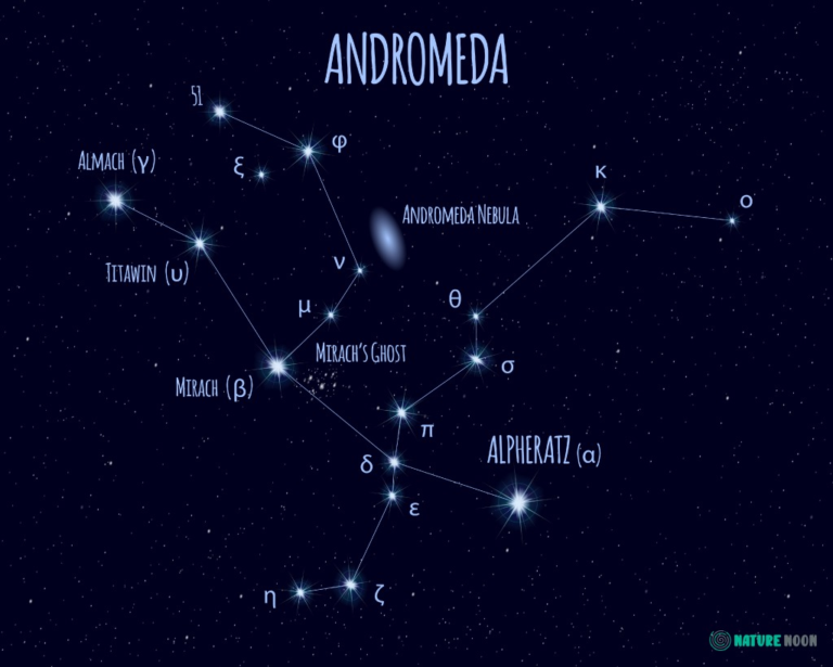 ALL 88 Star Constellations (Names & Meanings & Pictures)