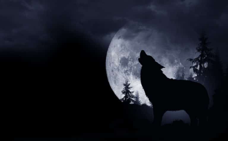 13 Full Moon Names and Their Meanings (Complete List)