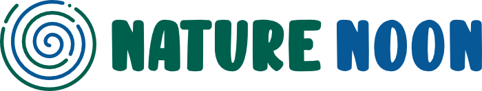 10 Fascinating Facts About the Solar System